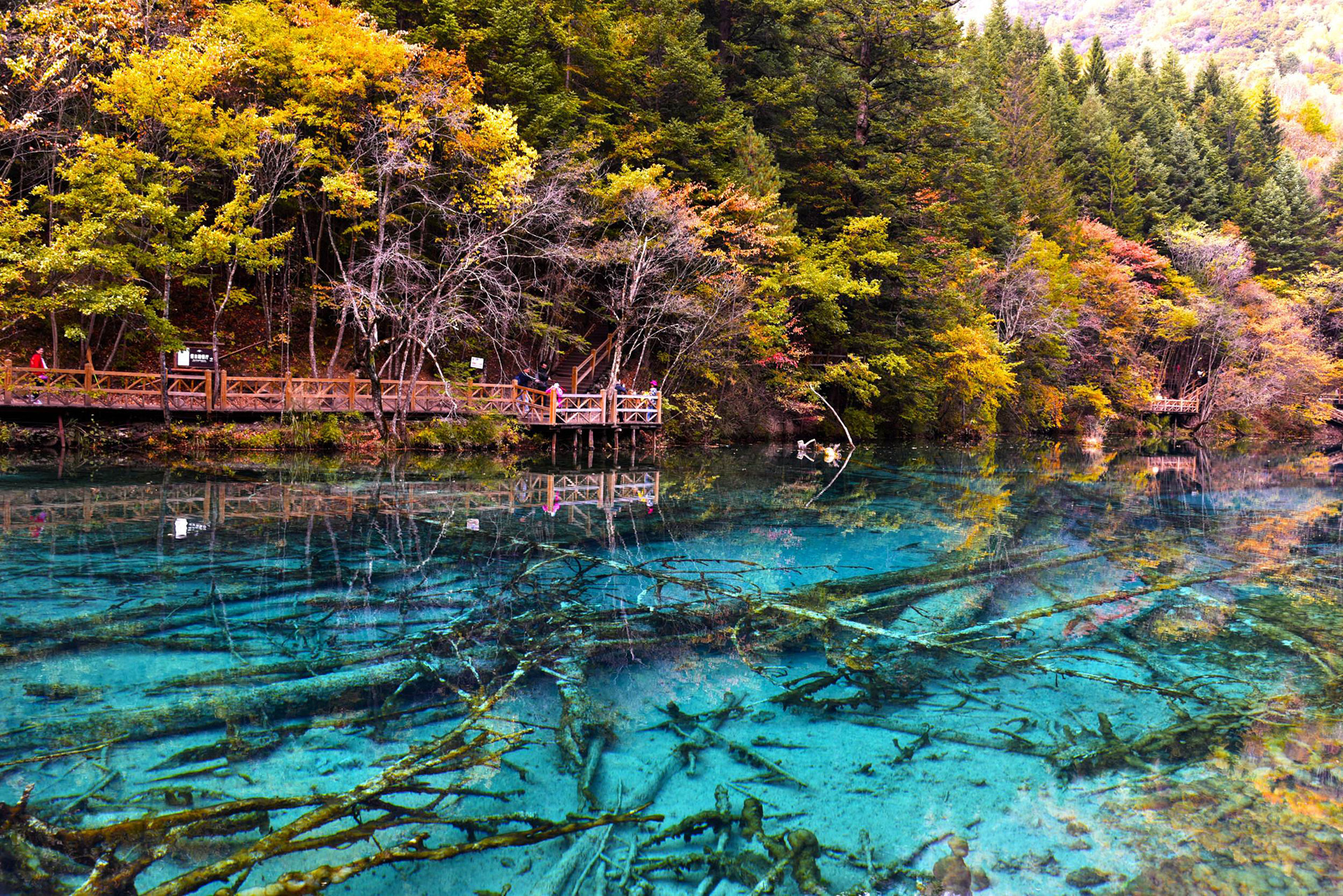 Jiuzhaigou Valley - Jiuzhaigou Attractions - China Top Trip