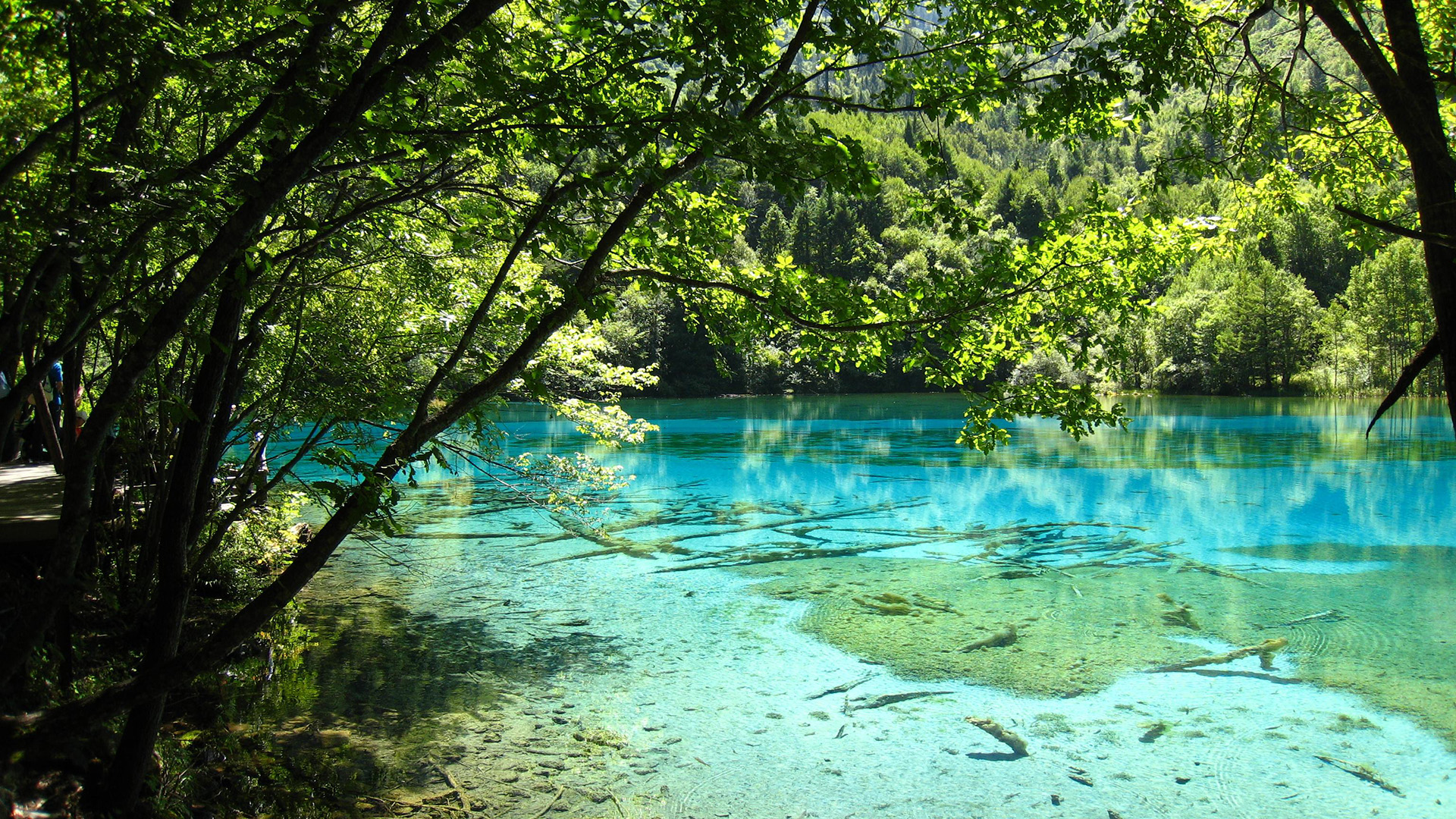 Jiuzhaigou Valley - Jiuzhaigou Attractions - China Top Trip